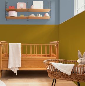 Koop Kleur Geef Kleur | Flexa